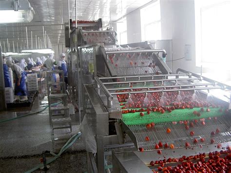 Fruit Processing Equipment Food Processing Equipment Supplier Walley