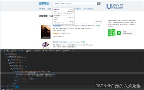 Python Top Csdn