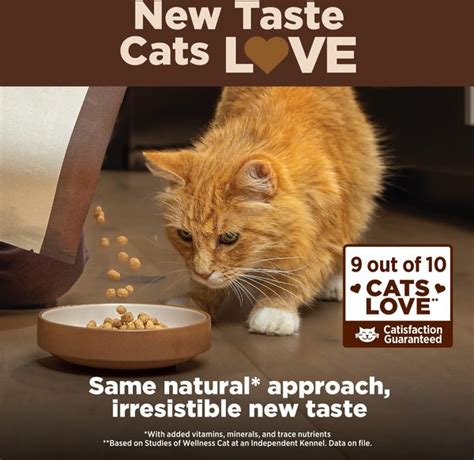 Wellness Core Grain Free Indoor Salmon And Herring Meal Recipe Dry Cat