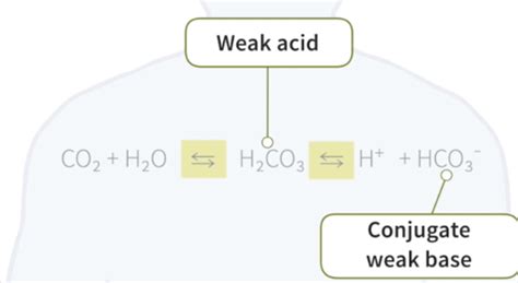 Buffers Flashcards Quizlet