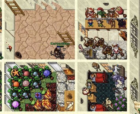 Inspirações Darashia • Tibia Home