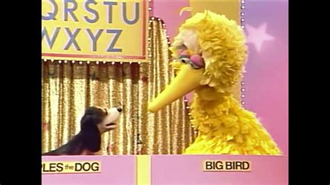 My Sesame Street Home Video The Alphabet Treasure Hunt Youtube