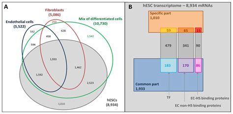 Network Based Meta Analysis Prediction Of Microenvironmental Relays Involved In Stemness Of