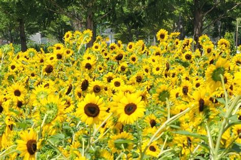 더블유코리아 2022년 9월 수잔 밀러가 전하는 별자리 운세 네이버 블로그