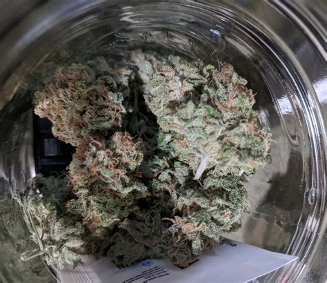 Passive Hydro Experiment Dry Weights Rmephheads