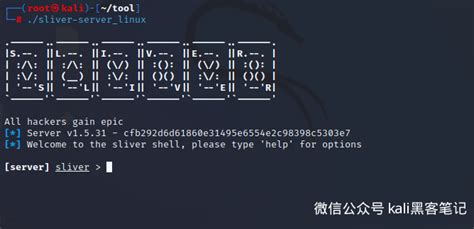 sliver c2 全网最细教程 哔哩哔哩
