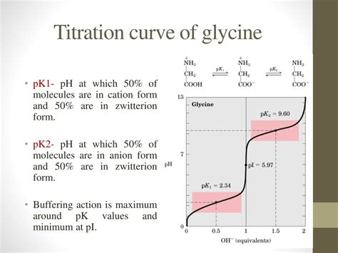 Explanation Of Titration Curve Of Amino Acid At Lori Birdwell Blog