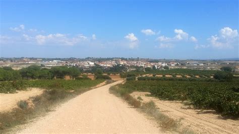 50km The Doctor Rutas En Bicicleta Por Albacete Y Alrededores