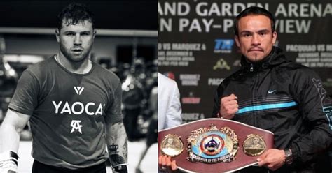Canelo Álvarez Se Cansa De Juan Manuel Márquez Y Lo Destroza Con Un