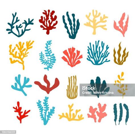 Ensemble Dimages Vectorielles Dalgues De La Vie Marine Mignonnes