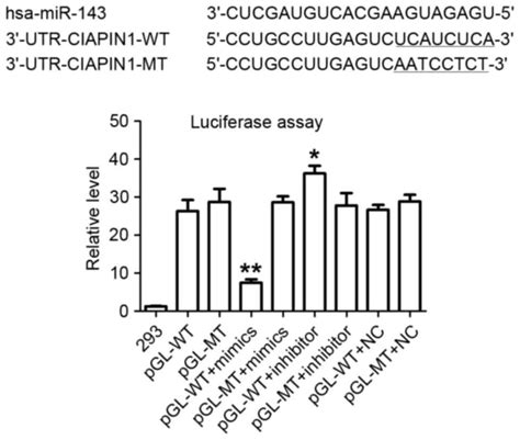 Upregulation Of Microrna 143 Reverses Drug Resistance In Human Breast