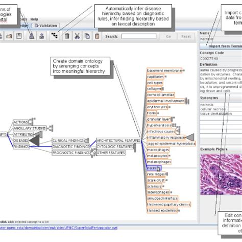 Knowledge Representation Using Concept Hierarchy Download Scientific