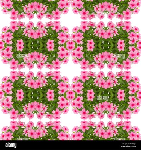 Periwinkle Seamless Pattern Background Stock Photo Alamy