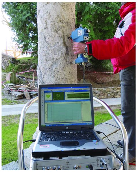 Setup Of The Impact Test Download Scientific Diagram