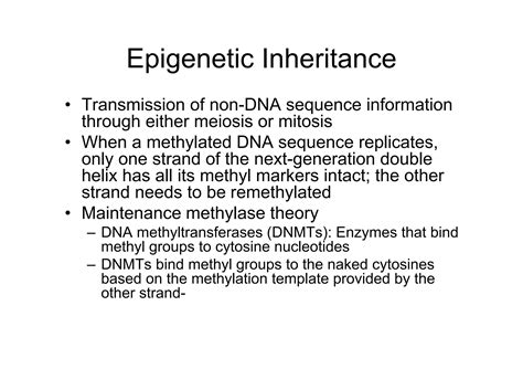 Epigenetics Ppt