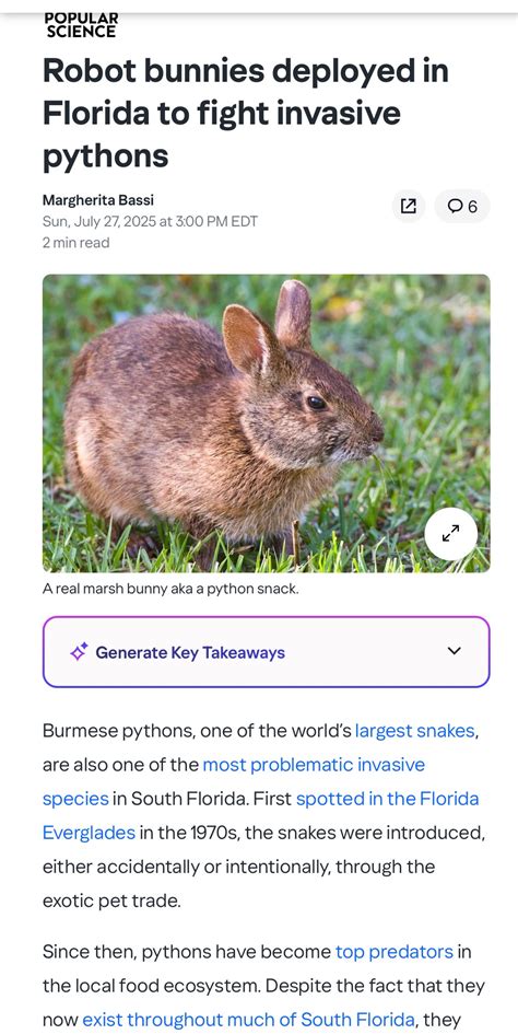 Killer Rabbits Album On Imgur