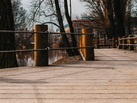 무료 이미지 이미지들 나무 노면 분기 목재 하늘 햇빛 트렁크 잔디 Tints And Shades 그늘 울타리 보도 시티 경치 도로 작은 가지