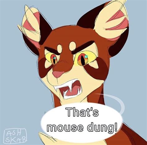 Warrior Cats Memes Dutch Alderheart Meme Wattpad