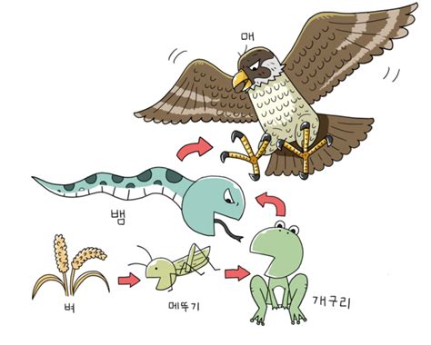 댓글 과학 교과서 그리기먹이 사슬요상한 노트 5학년 2학기 과학 ‘생물과 환경01