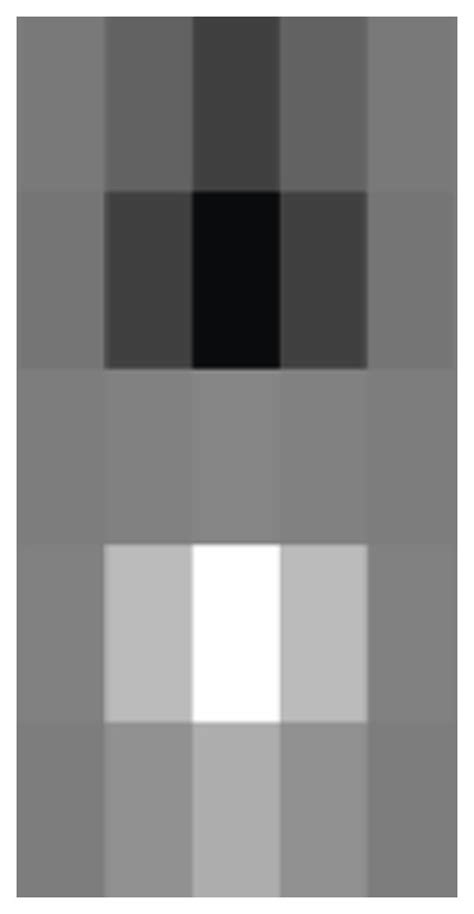 Eight Types Of Gabor Filters Used To Extract Features Download Scientific Diagram