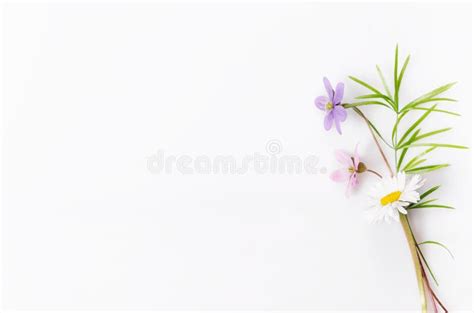 Spring Frame Of Small Flowers And Daisies Flower Arrangement Stock
