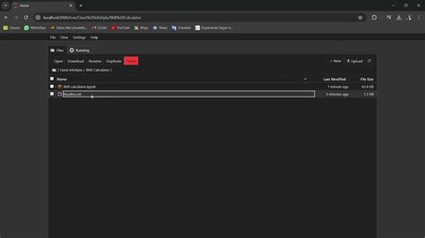 [video] Mohammed Faizan Khan On Linkedin Internship Techinnovation Bmicalculator