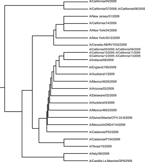Phylogenetic Tree Of Swine Flu Hemagglutinins Deposited In Ncbi And Download Scientific Diagram