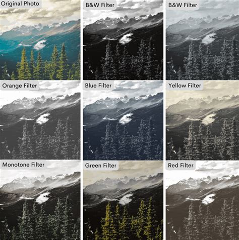 How To Remove Black And White Filter In Photoshop At Stanley Harrison Blog