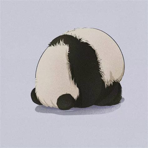 Ghim Của Koro Tutu Trên Cutecat Gấu Trúc Ảnh Tường Cho điện Thoại