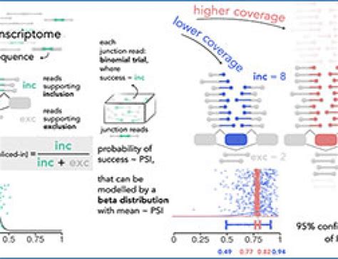 Esfinder Identification Of Exon Skipping Events From High Throughput