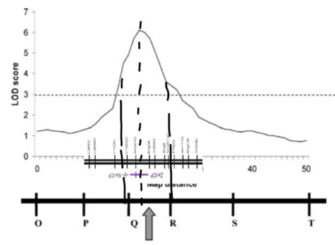 Molecular Genetics Of Quantitative Traits Flashcards Quizlet