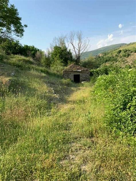 Tepelena Sot Ne Fshatin Selck E Vogel Qe Eshte Braktisur Me Shtepi