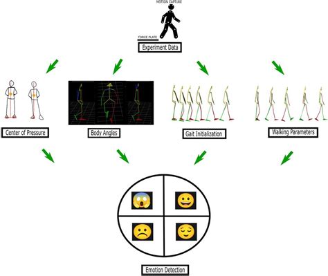 Data Processing Pipeline 101371journalpone0290564