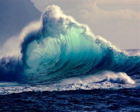 For Love Of Sun And Sea