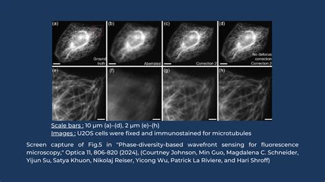 Increasing The Speed Of Sensorless Adaptive Optics Phase Diversity Applied To Fluorescence