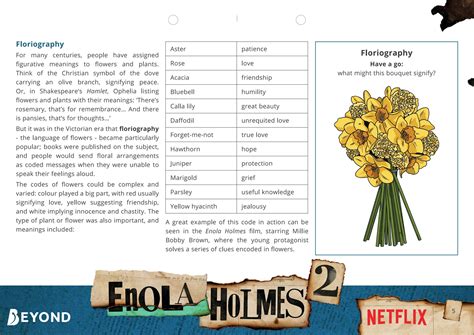 Codes And Ciphers Reading Comprehension Pdf