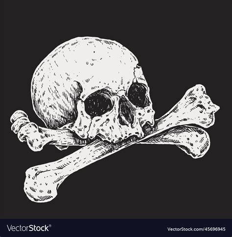 Skull And Bones Drawing