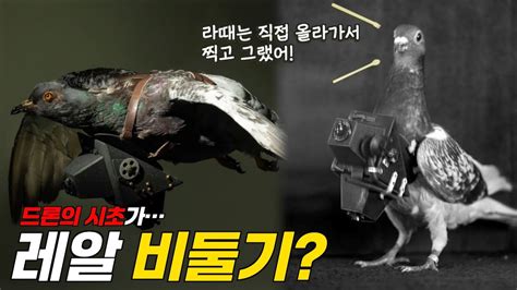 ️ 드론의 시초가 비둘기ㅣ비둘기를 직접 올려서 찍었다는 충격적인 사실 🕊 Youtube