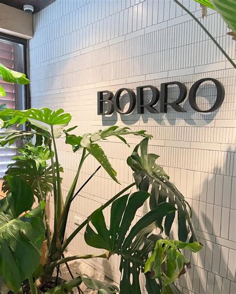 Borro Borromnl • Instagram Photos And Videos