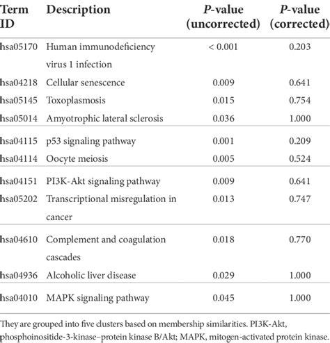 Pathway Enrichment Analysis Revealed 11 Significantly Enriched Pathways