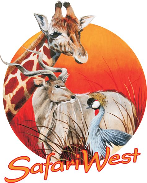 Aoudad Safari West