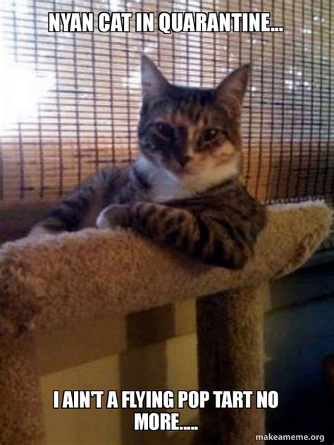Nyan Cat In Quarantine I Aint A Flying Pop Tart No More The