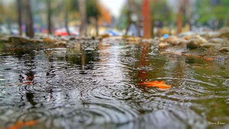 Обои На Рабочий Стол С Дождем 64 фото