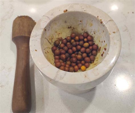 Netleaf Hackberry Tree Edible Uses