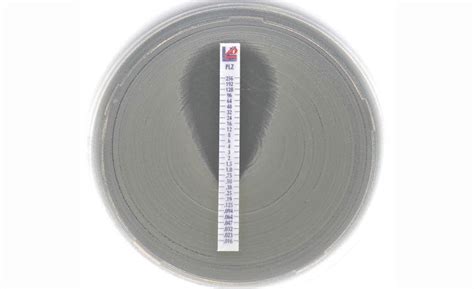 Fda Cleared Liofilchem Mts™ Mic Test Strip Plazomici