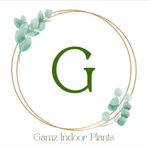 Gamz Indoor Plants Sanderiana Gamz යන සන්නාම නාමයෙන් අප වෙළඳ පොලට