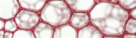 Extracellular Matrix The Secret Sauce Of 3d Cell Culture Biocompare