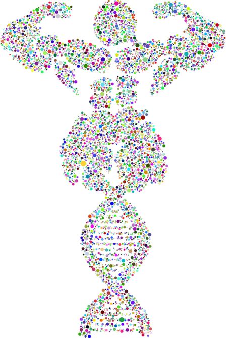 Bodybuilder Dna Circles Prismatic Openclipart