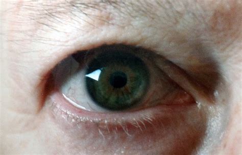 Jay Jaroslav At Gloucesters Trident Gallery Charles Giuliano