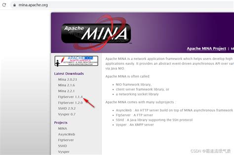 Apache Ftpserver Windows Springboot Apache Ftpserver Ftp
